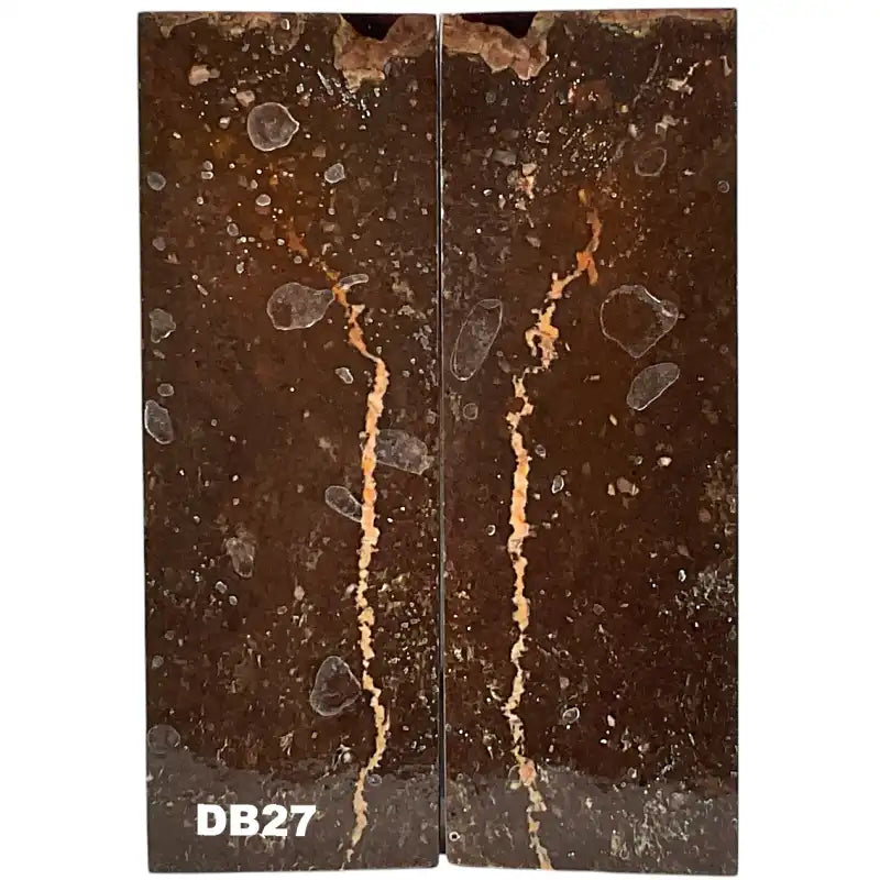 Dino Bone- Natural- Stabilized by Raffir®