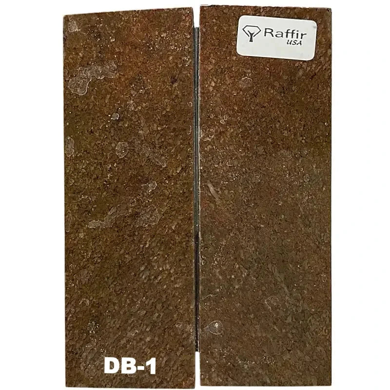 Dino Bone- Stabilized by Raffir®- ~1/4" Thickness