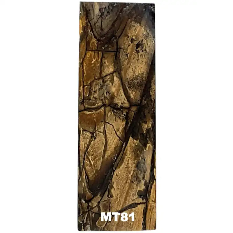 Mammoth Ivory Tusk- Single Slabs- Raffir® Fossils