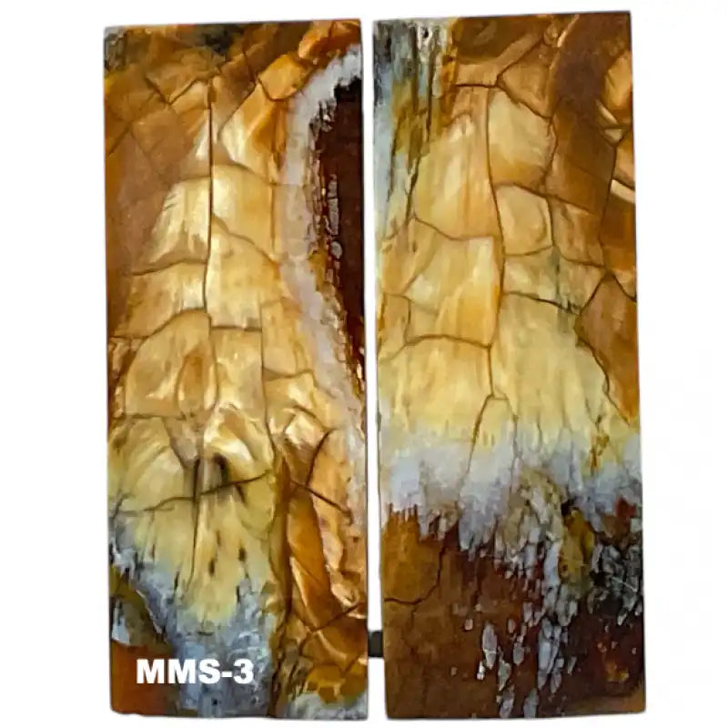 Mammoth Molar Scales- 1.3"(W) x 3.7"(L)- NATURAL- Raffir® Fossils