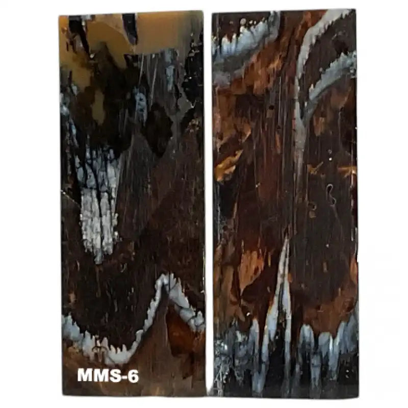 Mammoth Molar Scales- 1.3"(W) x 3.7"(L)- NATURAL- Raffir® Fossils