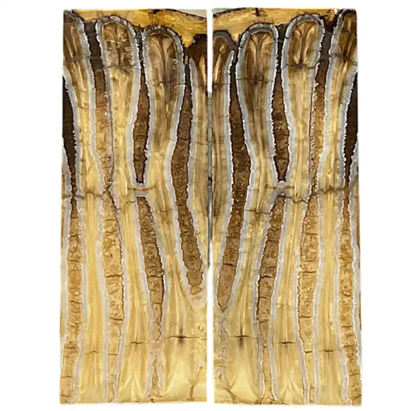 Mammoth Molar Scales- NATURAL- Raffir® Fossils