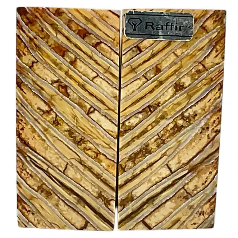 Mammoth Molar Scales- NATURAL- Raffir® Fossils