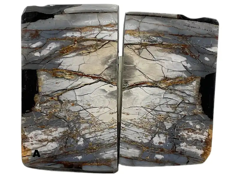 Mammoth Tusk Ivory Scales- Stabilized by Raffir®