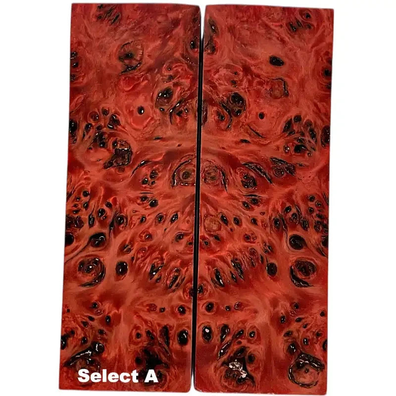 Poplar Burl- RED- Stabilized & Dyed Wood by Raffir